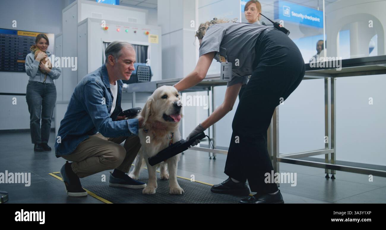Mature Man with Pet During Screening Procedure in Airport Terminal ...