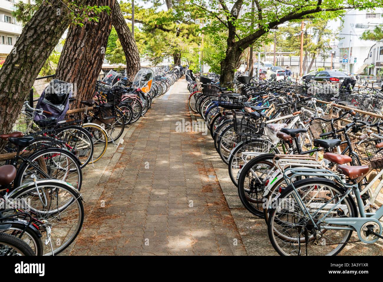 Two rows of bicycles parked in a bike park near a railway station at ...