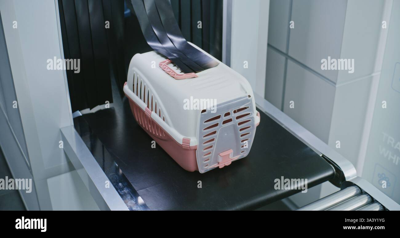 Airport Security Checkpoint: Security Officer Taking Carrying Cases for ...