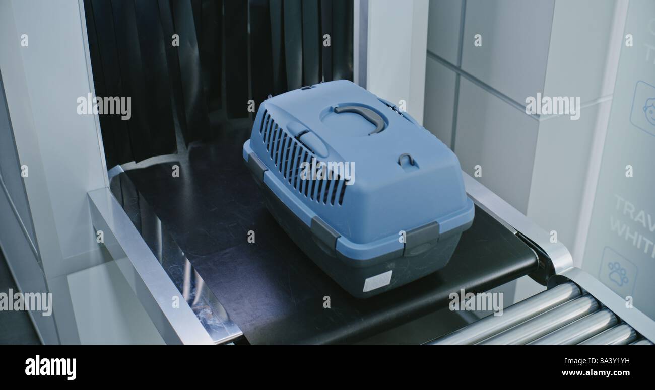 Airport Security Checkpoint: Security Officer Taking Carrying Cases for ...