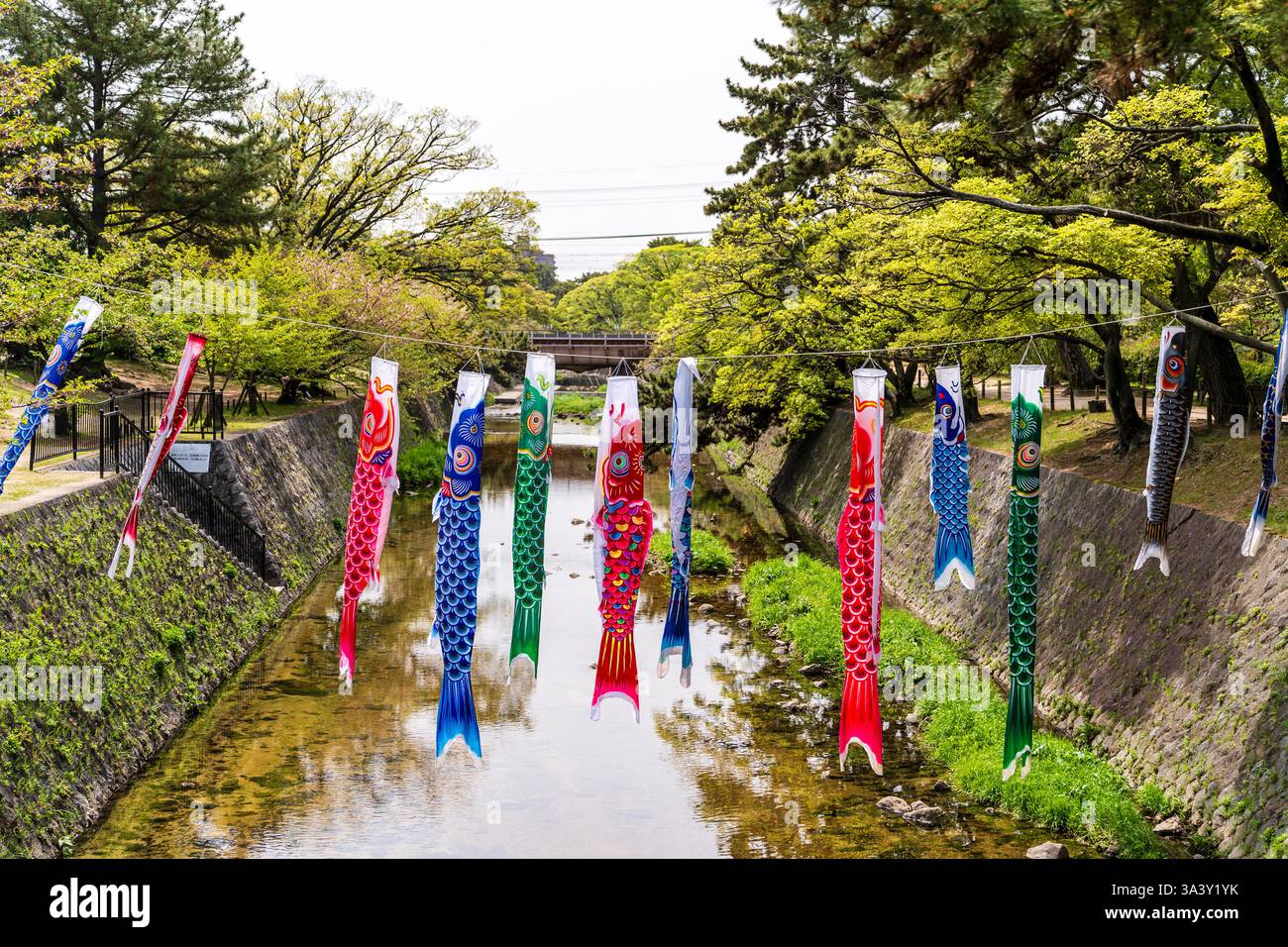 Koi, crap banners, known as Koinobori, hanging over the Shukugawa River ...