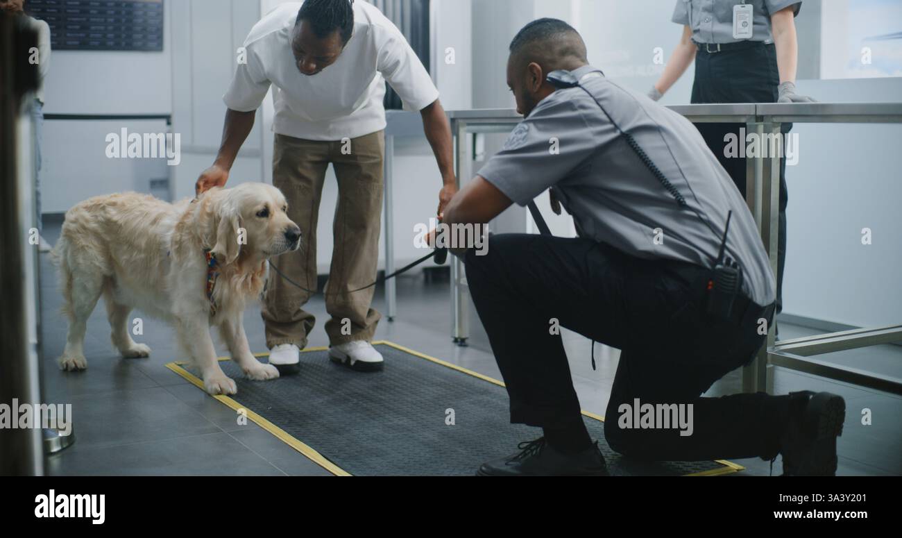 African american tourist pet security hi-res stock photography and ...