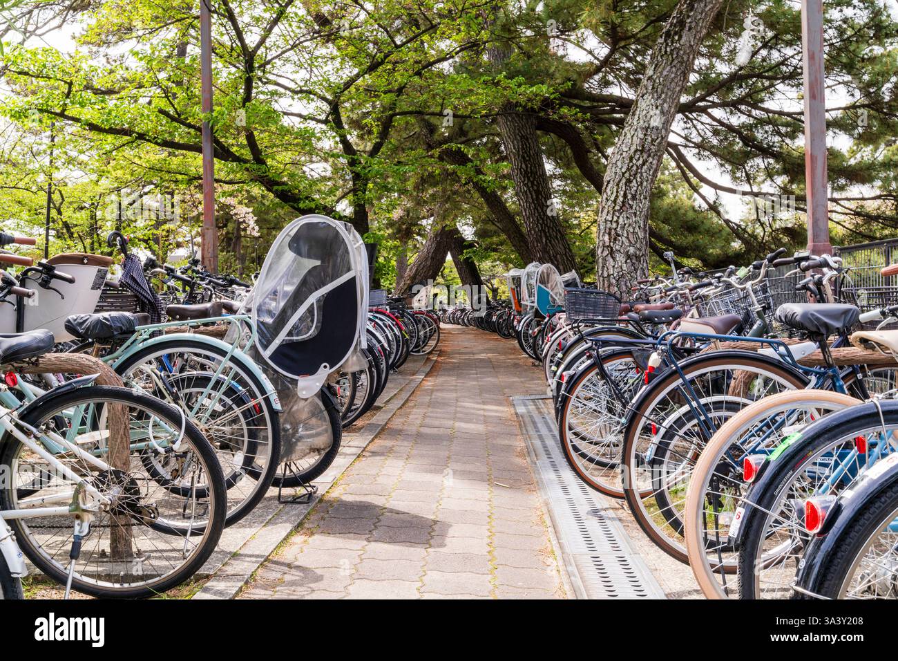 Two rows of bikes parked in a bike park near a railway station at the ...