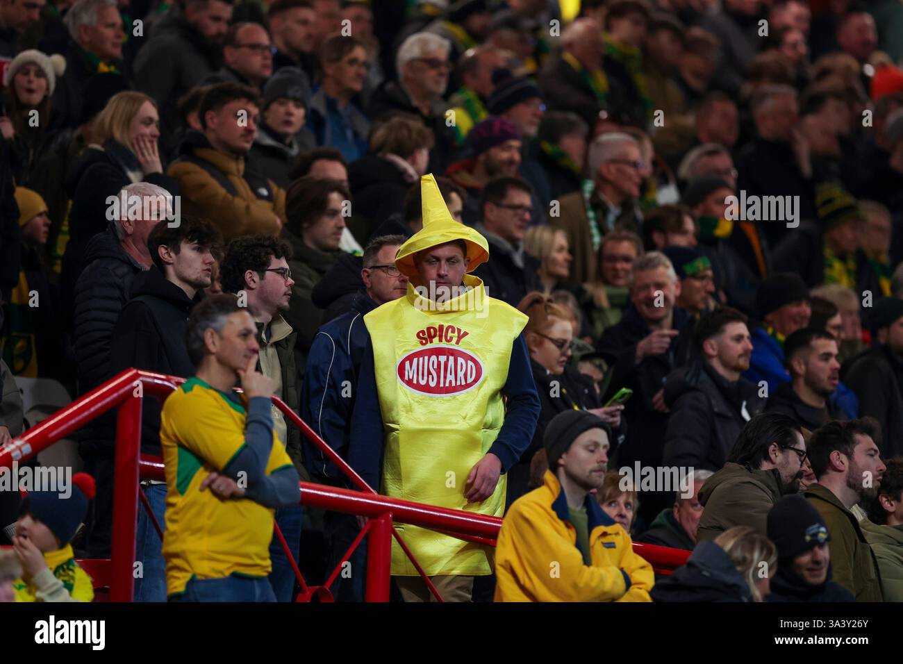 Norwich City fan in fancy dress during the Sky Bet Championship match ...