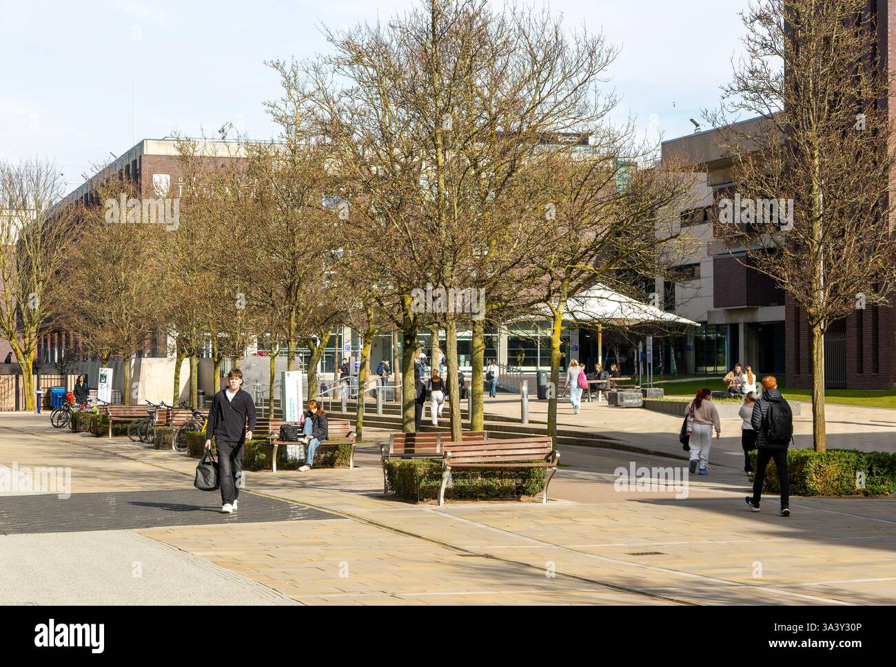 Students in open concourse central area of South Campus, University of ...