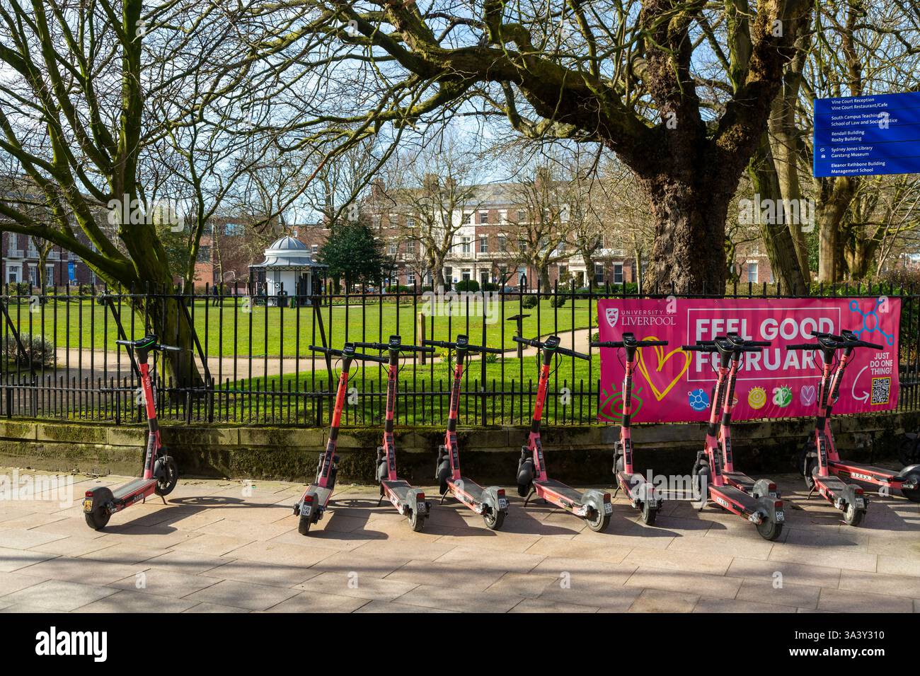 Abercromby Square Park, University of Liverpool, England, UK - Voi ...