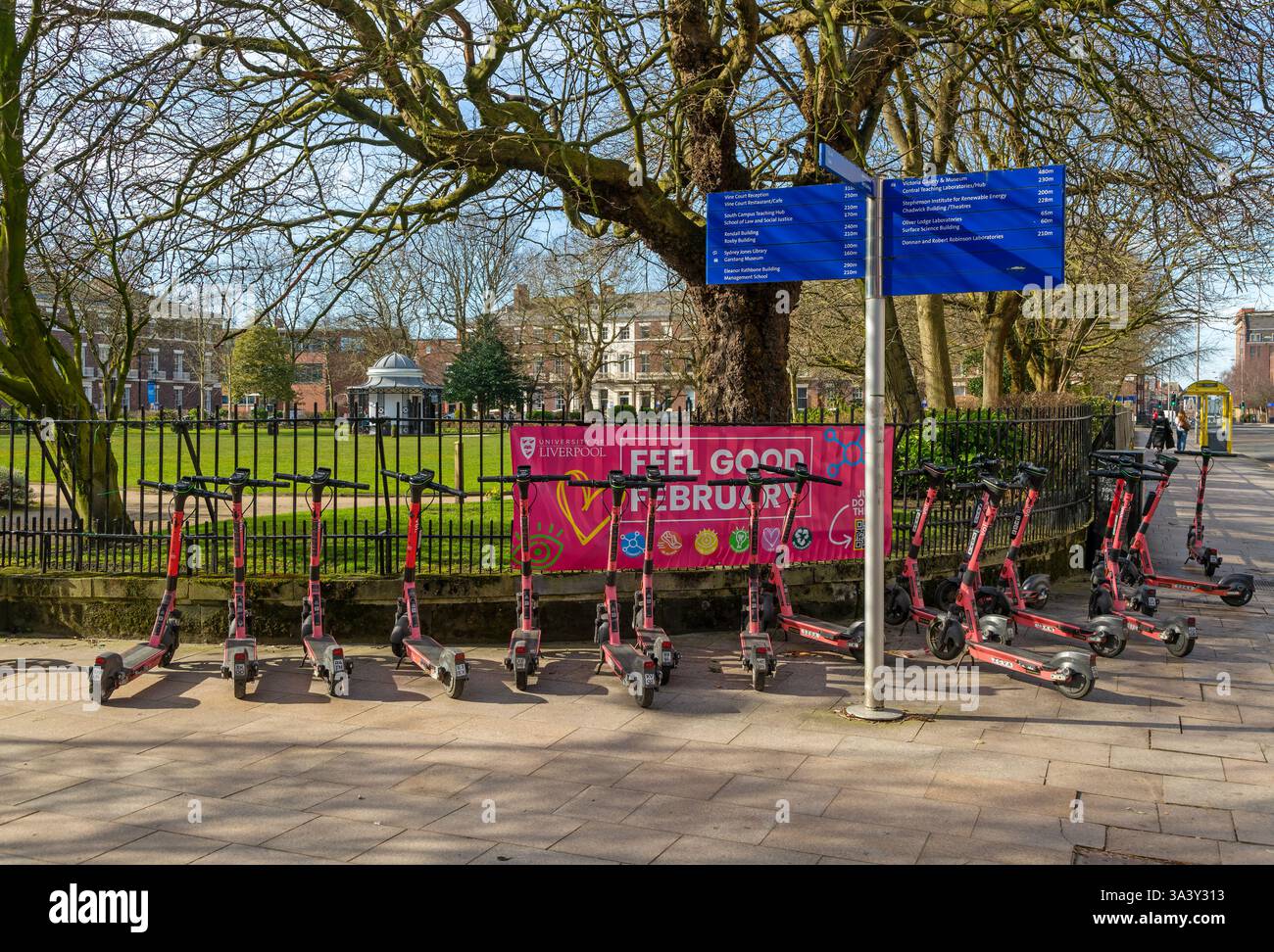 Abercromby Square Park, University of Liverpool, England, UK - Voi ...