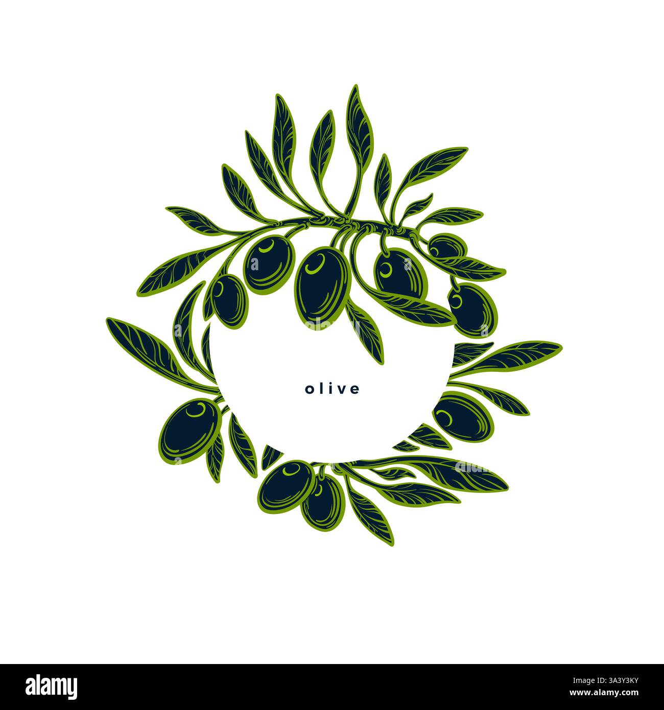 Olive frame in circle. Graphic texture illustration Vector twig, green ...