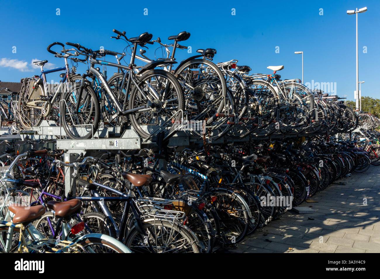 Full bicycle shed in Utrecht where bicycles are stacked one above the ...