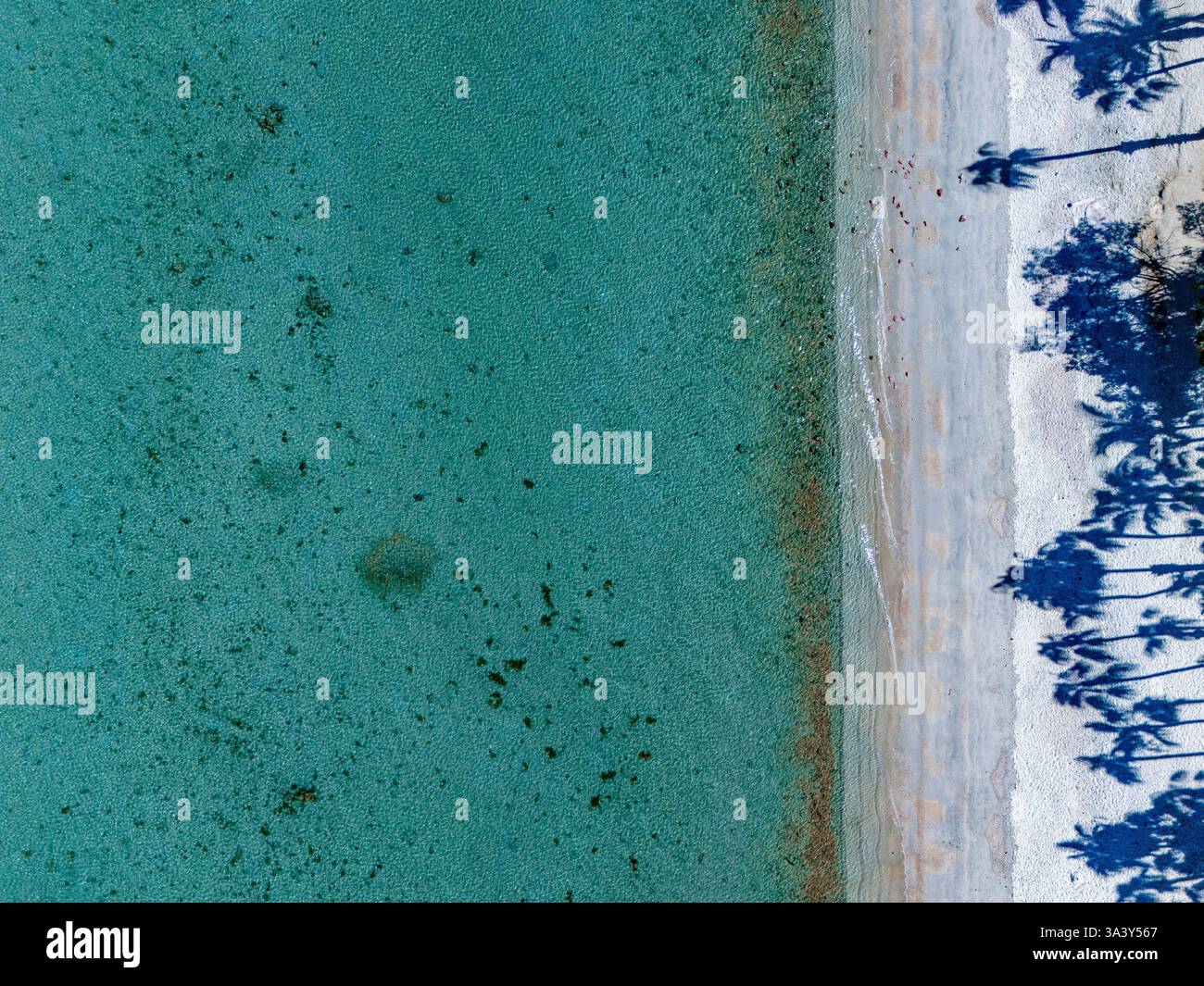 sandy beach in front of malecon in La Paz city, bcs, baja california ...