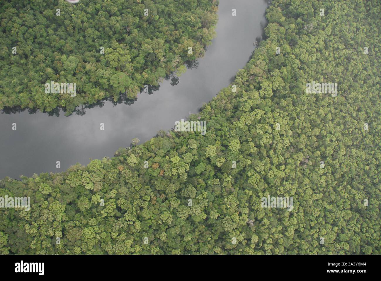 single bend in a river with an riel view of the jungle rain forest ...