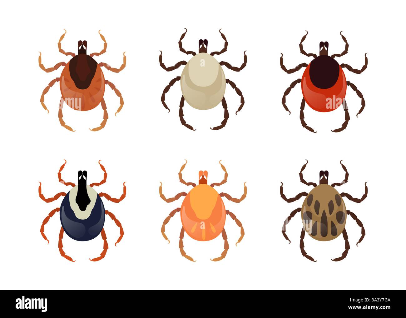 Six different types of mites on a white background Stock Vector Image ...