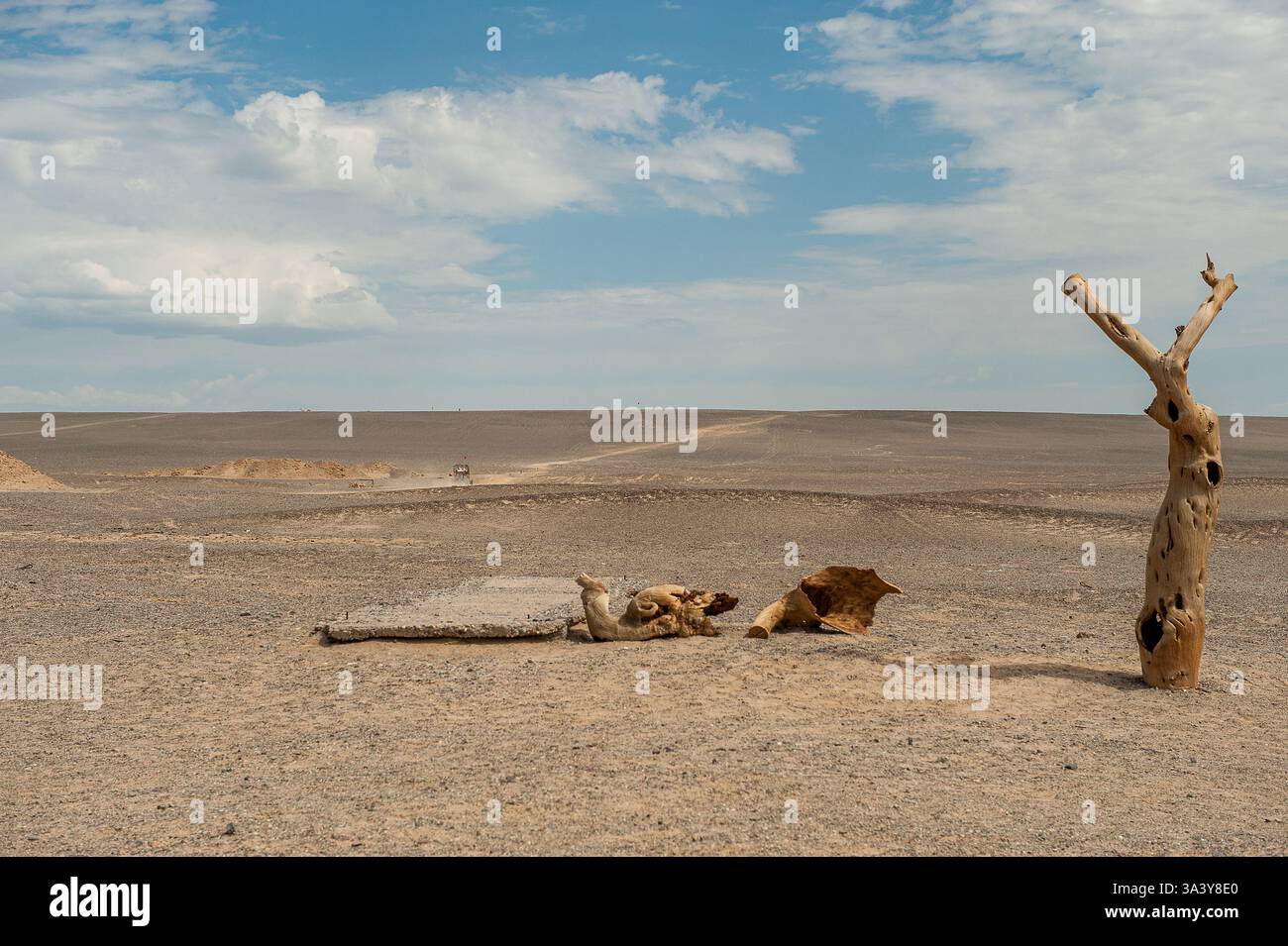 Yardang landforms in the Gobi desert northwest of Dunhuang in Gansu ...