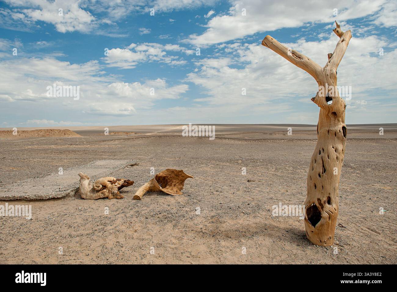 Yardang landforms in the Gobi desert northwest of Dunhuang in Gansu ...