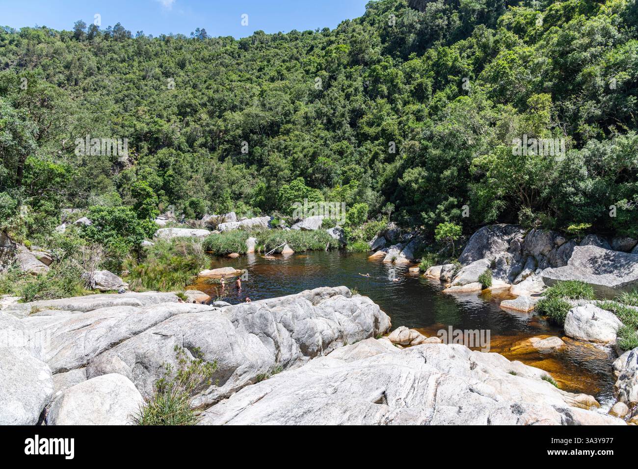 The Touws River running through the Half Collared Kingfisher Trail in ...