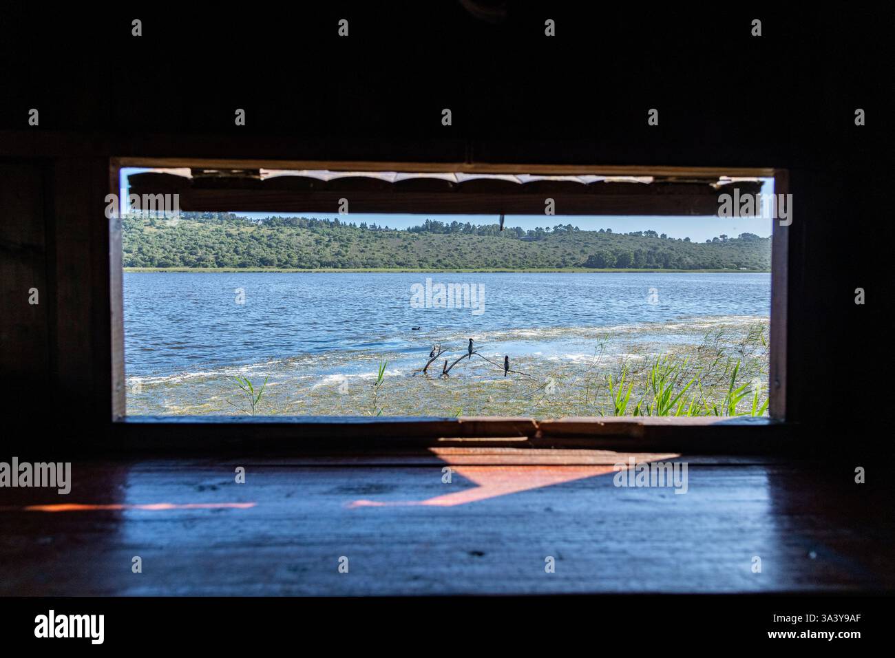 Bird watching view of birds in the wetlands of Wilderness from ...