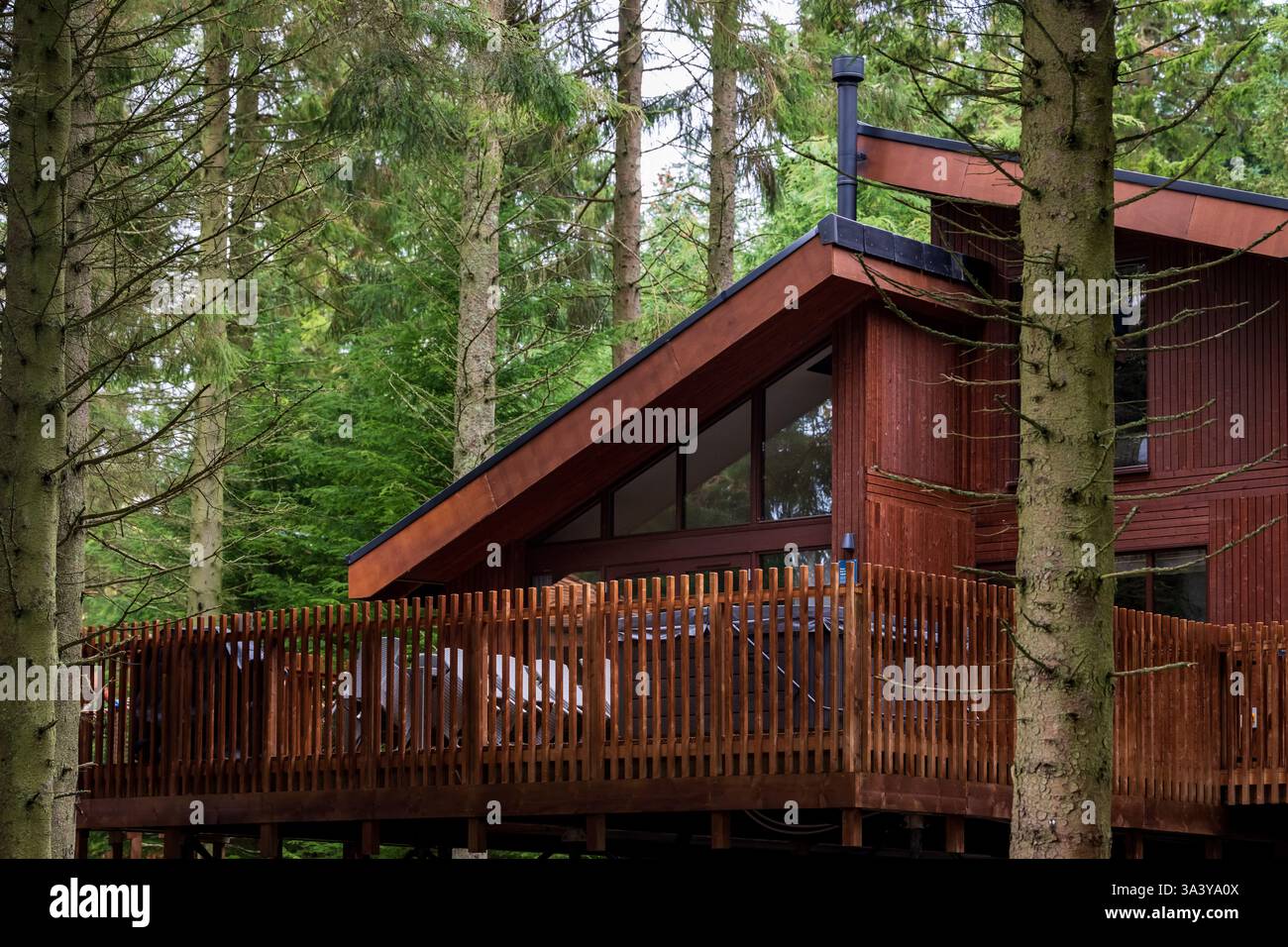 Forest Holidays Glentress Stock Photo - Alamy