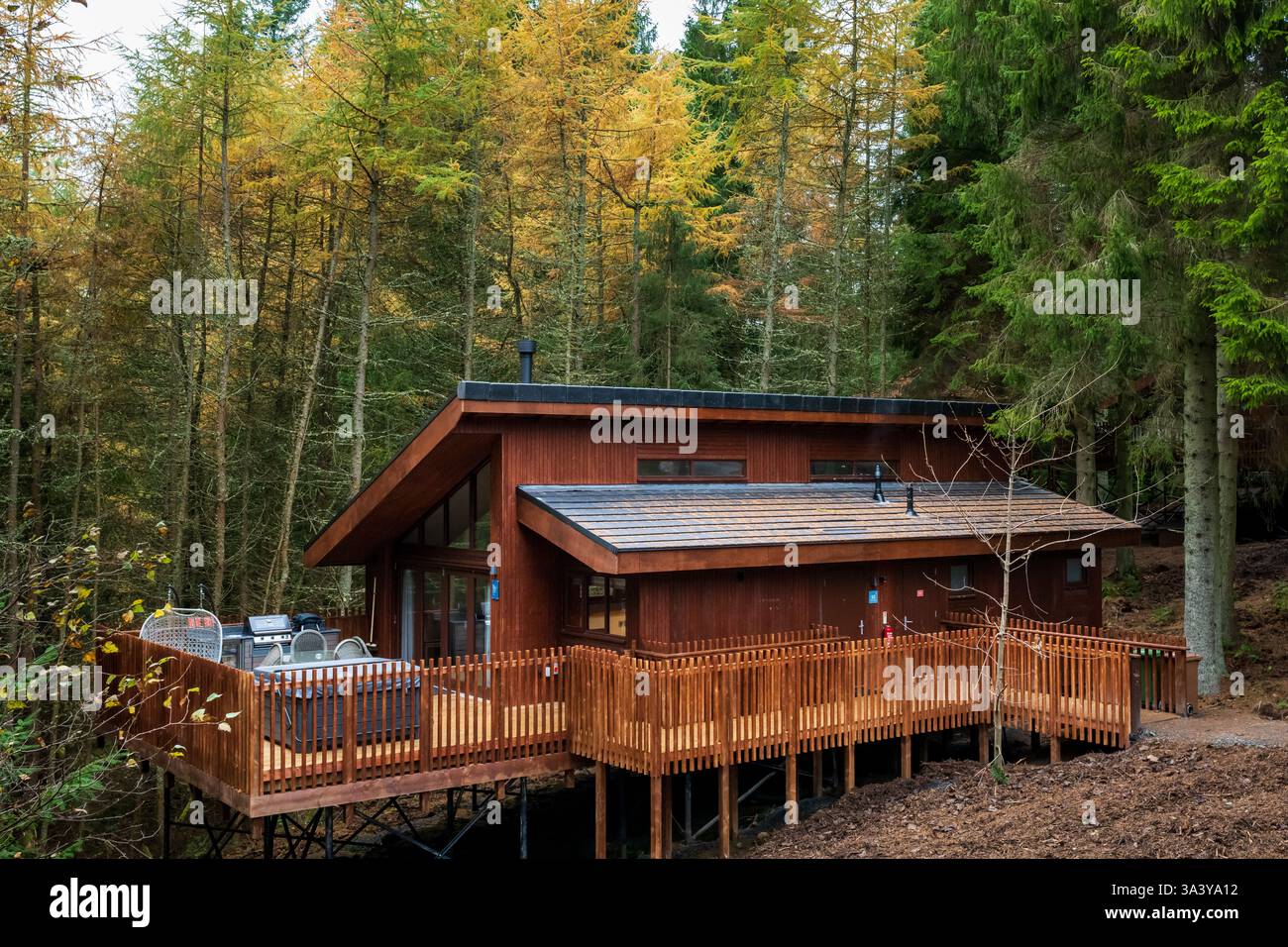 Forest Holidays Glentress Stock Photo - Alamy