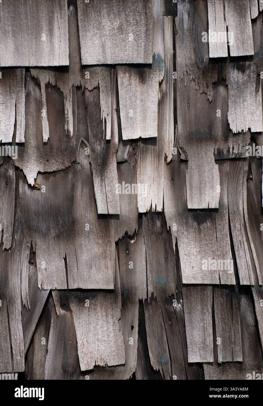 old wooden cedar shakes on side of building textured weathered damaged ...
