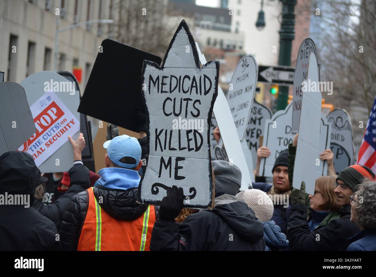 Pro-Medicaid sign at a Stop the Cuts rally against DOGE in Lower ...