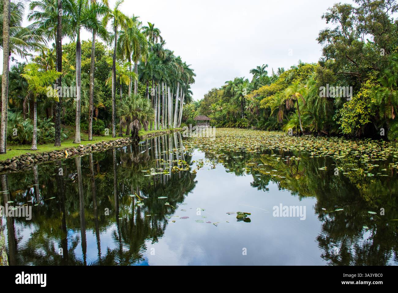 Exploring the tropical botanic gardens at the Bonnet House Museum and ...