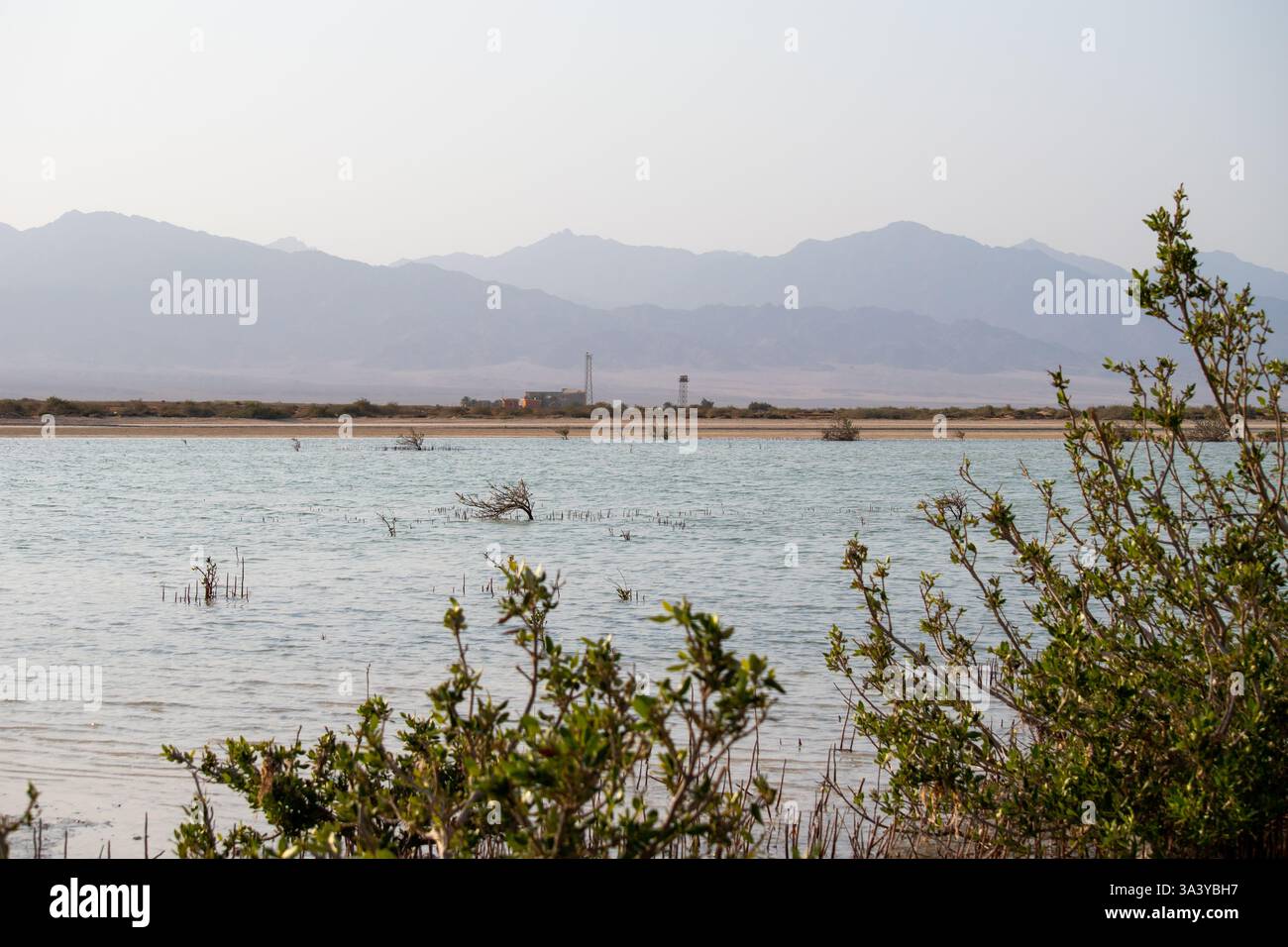 Landscape with sea and mangroves at the Nabq Nature Reserve near Sharma ...