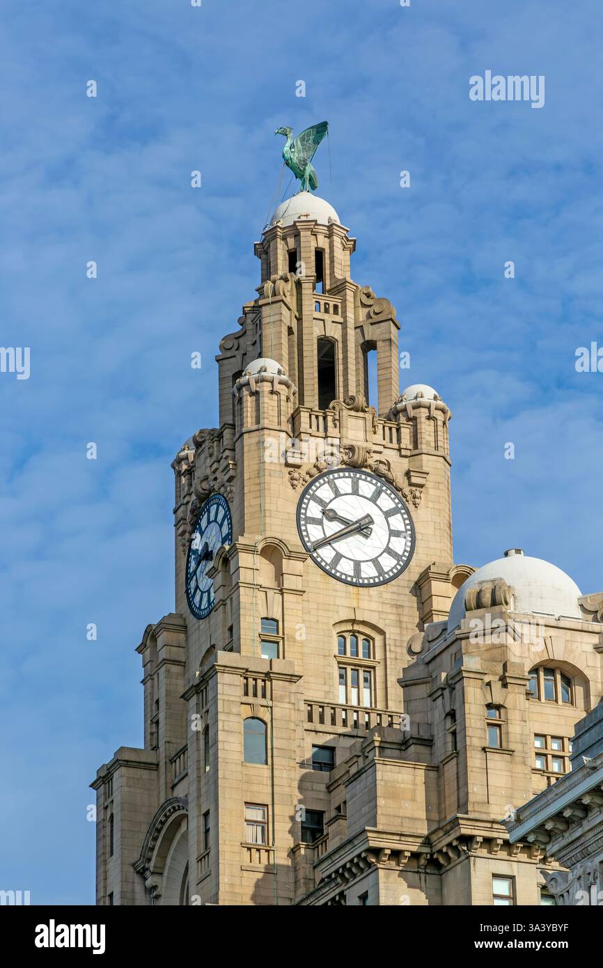 Liver bird and clock tower, The Royal Liver building, Liverpool ...
