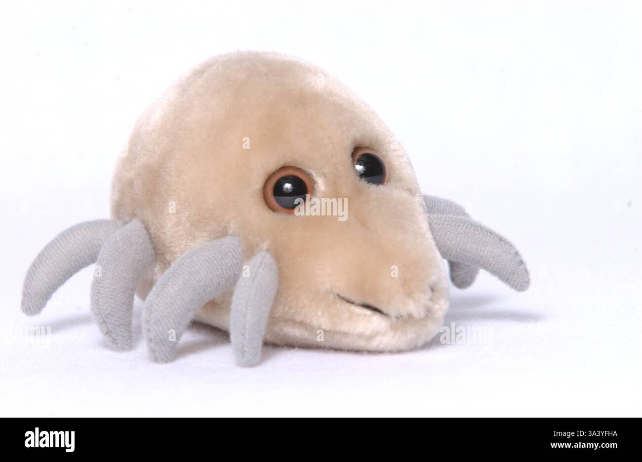 June 16, 2001 - .K41227AR .GIANT MICROBES. ANDREA RENAULT/ DUST MITE ...