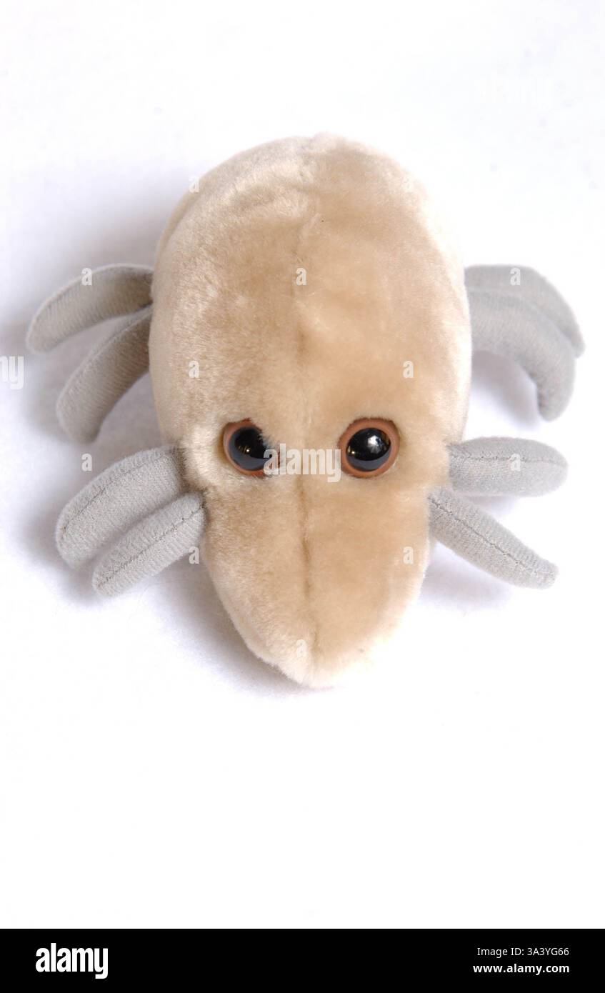 June 19, 2001 - K41266AR2.GIANT MICROBES . ANDREA RENAULT/ DUST MITE ...