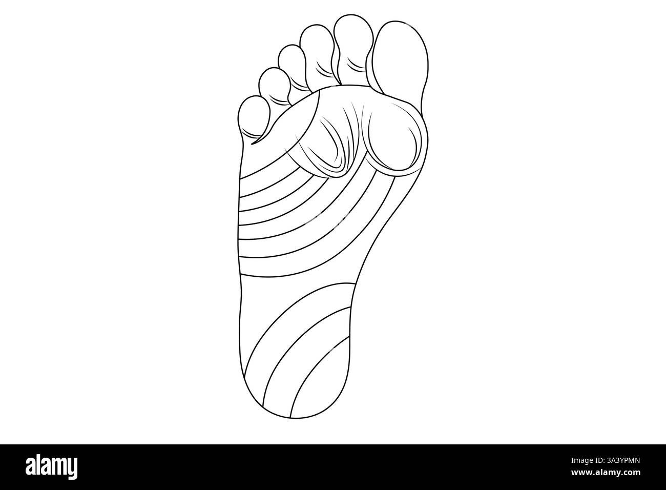Foot sole continuous one line art of footprint isolated outline vector ...