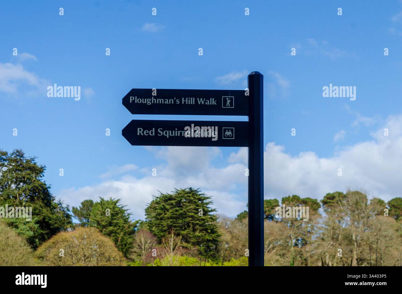 Directional sign on post in a country pointing to different attractions ...
