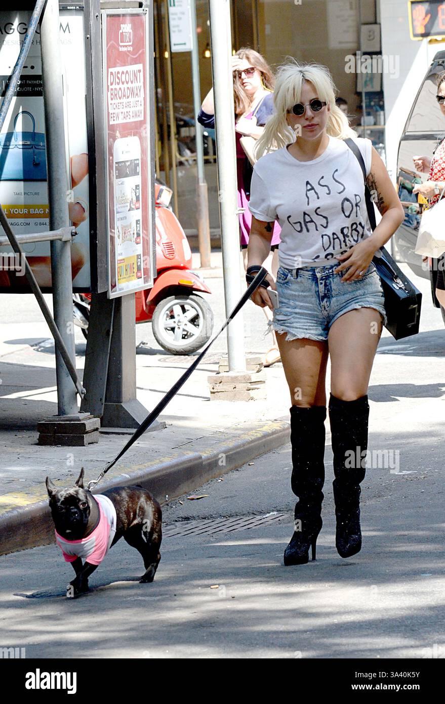 Lady Gaga walks her dog Asia in New York City - 22 June 2015 Stock ...