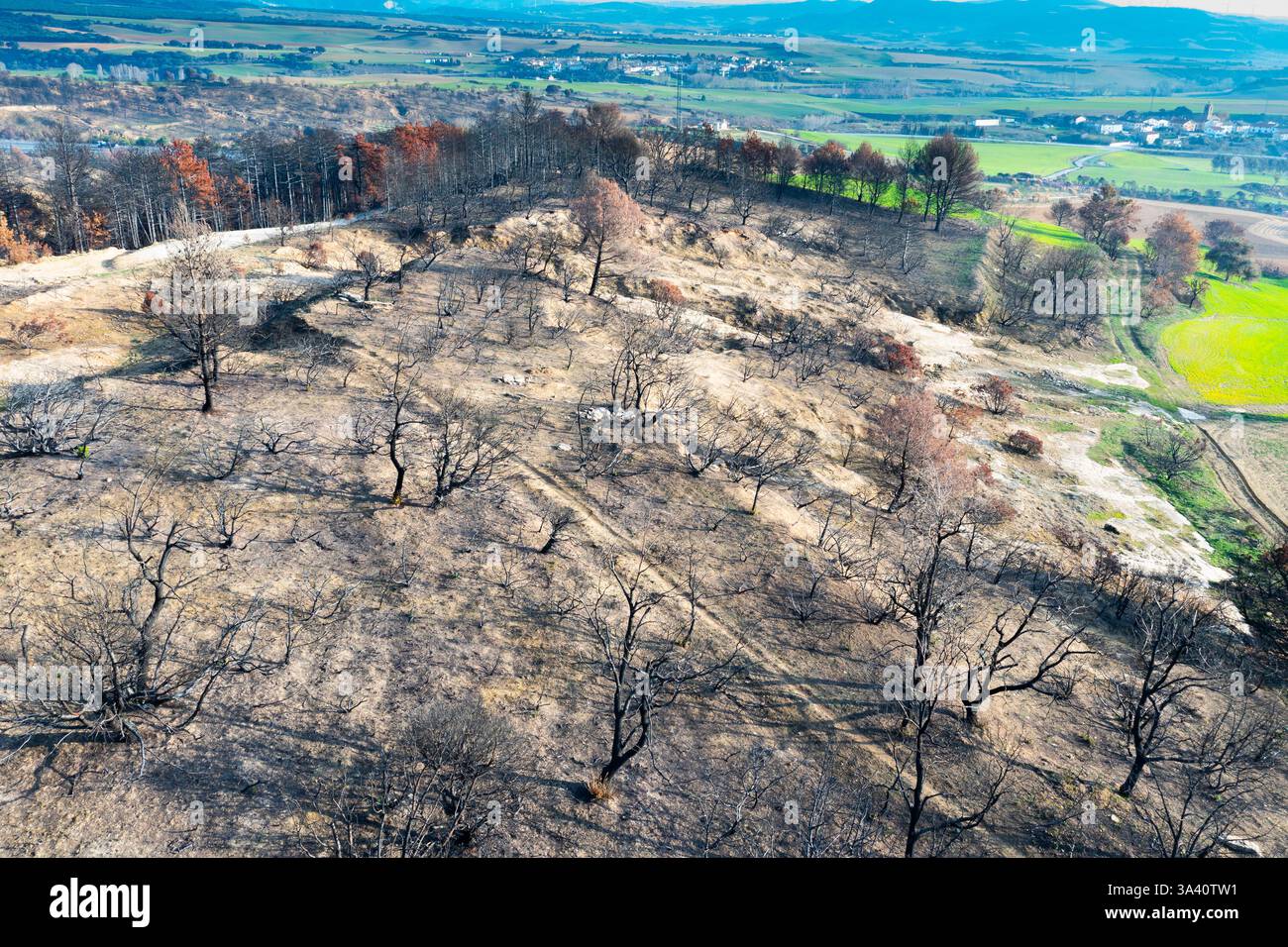 Deforestation environmental pollution disaster hi-res stock photography ...