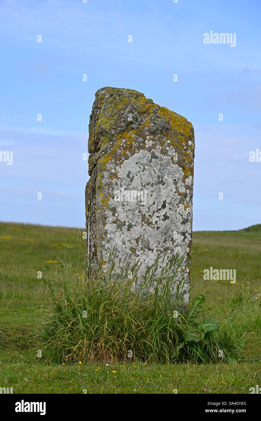 the Comet stone at the ring of Brodgar site, Orkney Scotland May Stock ...