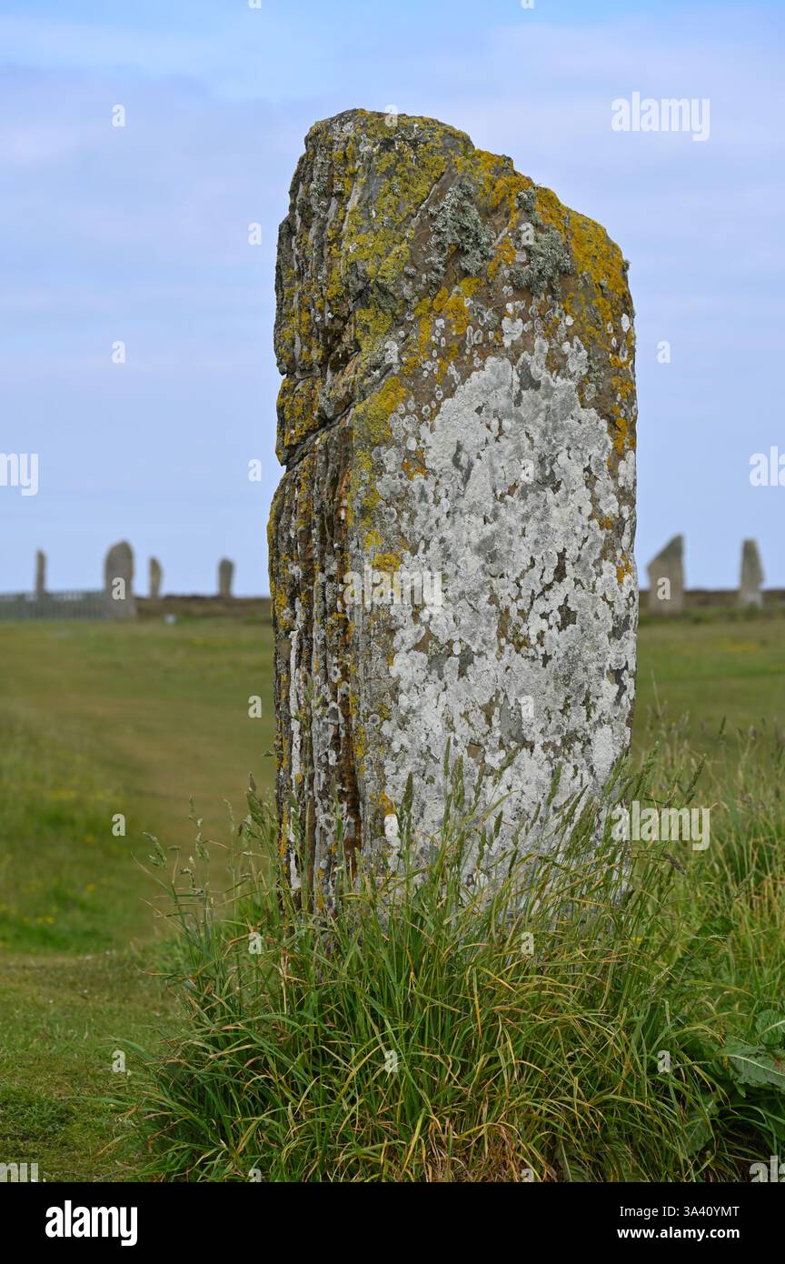 the Comet stone at the ring of Brodgar site, Orkney Scotland May Stock ...
