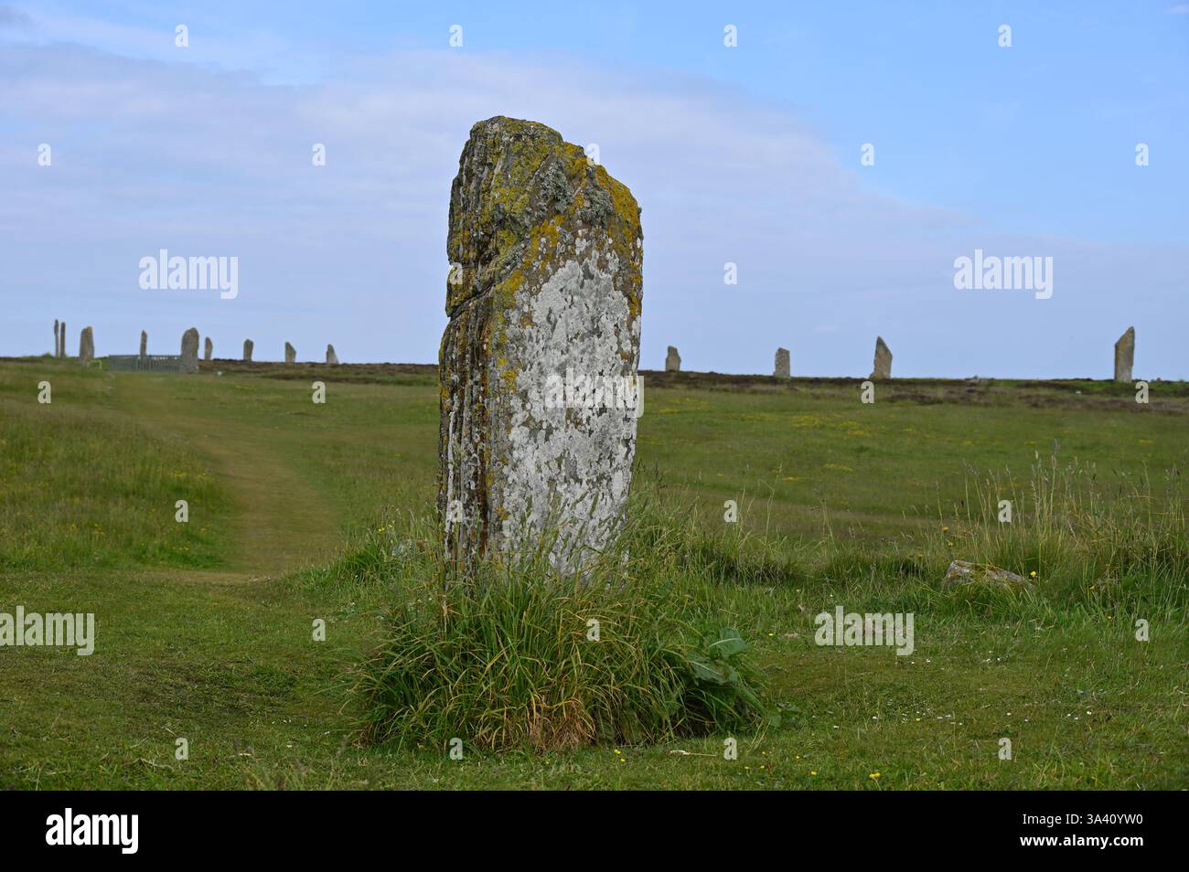 the Comet stone at the ring of Brodgar site, Orkney Scotland May Stock ...