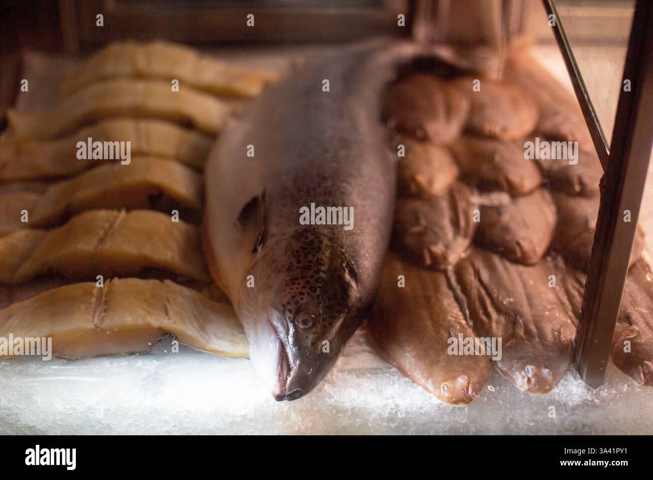 Variety of chilled fish lying on crushed ice in grocery store display ...