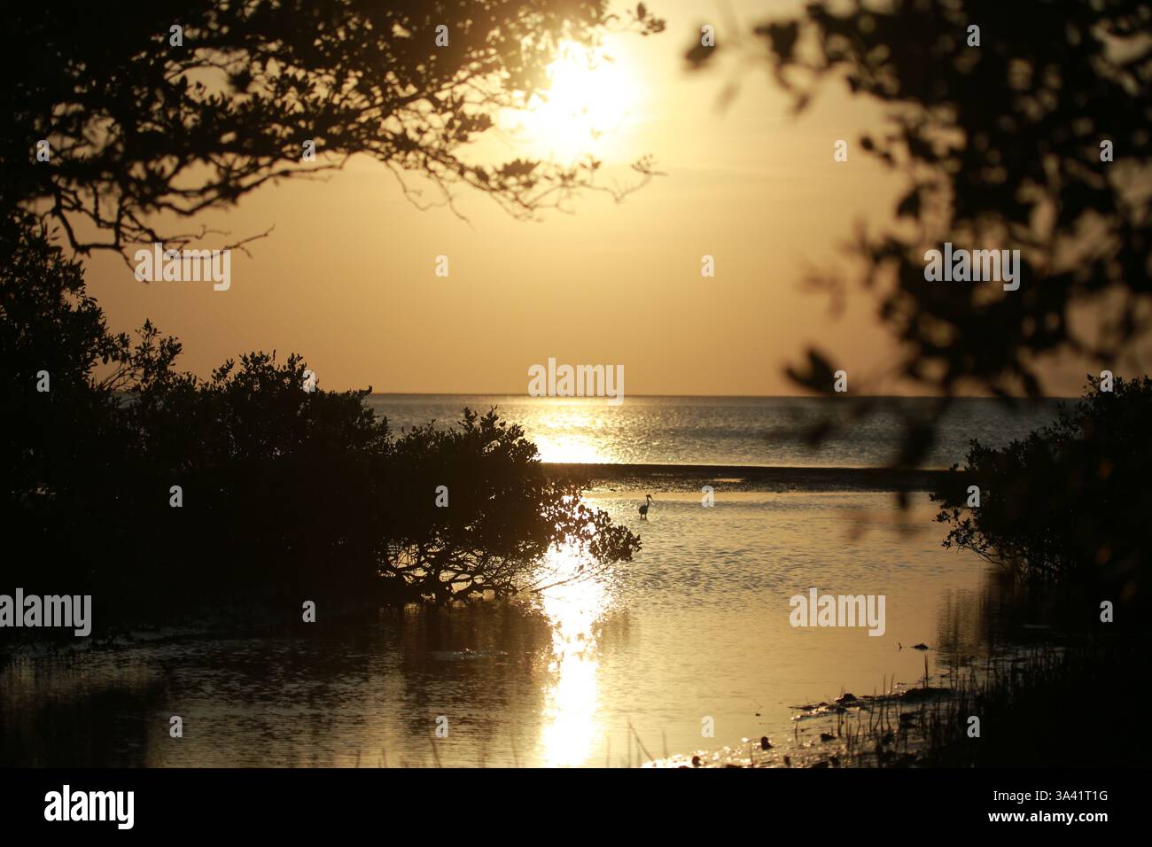 Beautiful Sunset in Adam's Bridge view point, Talaimannar, Sri Lanka ...