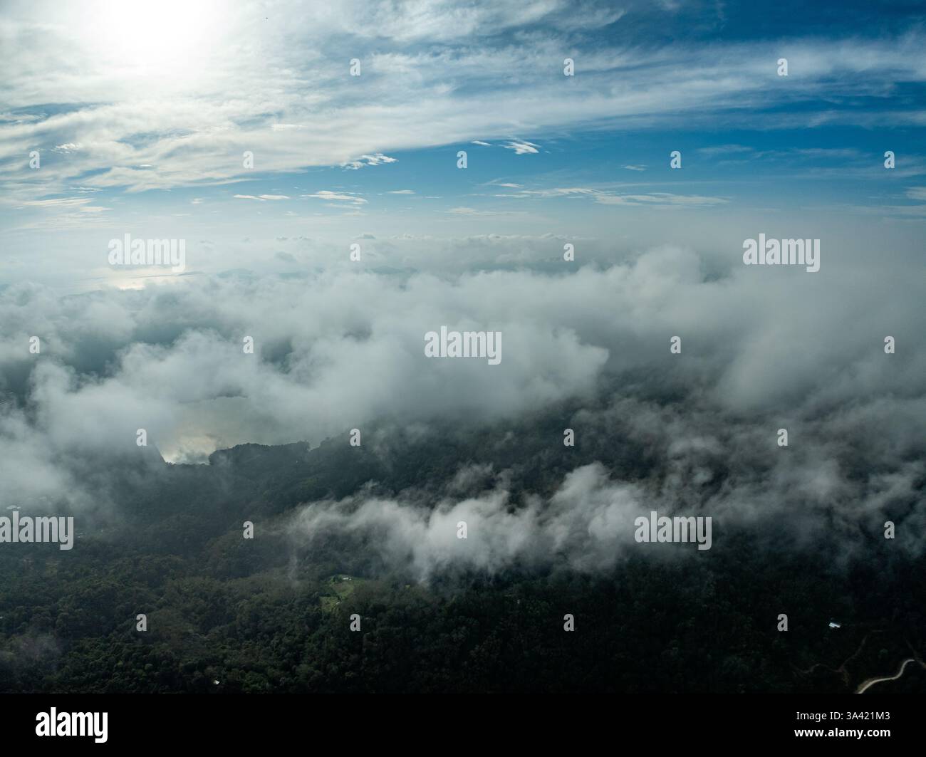 Aerial view Beautiful natural landscape Rainforest mountains in the ...