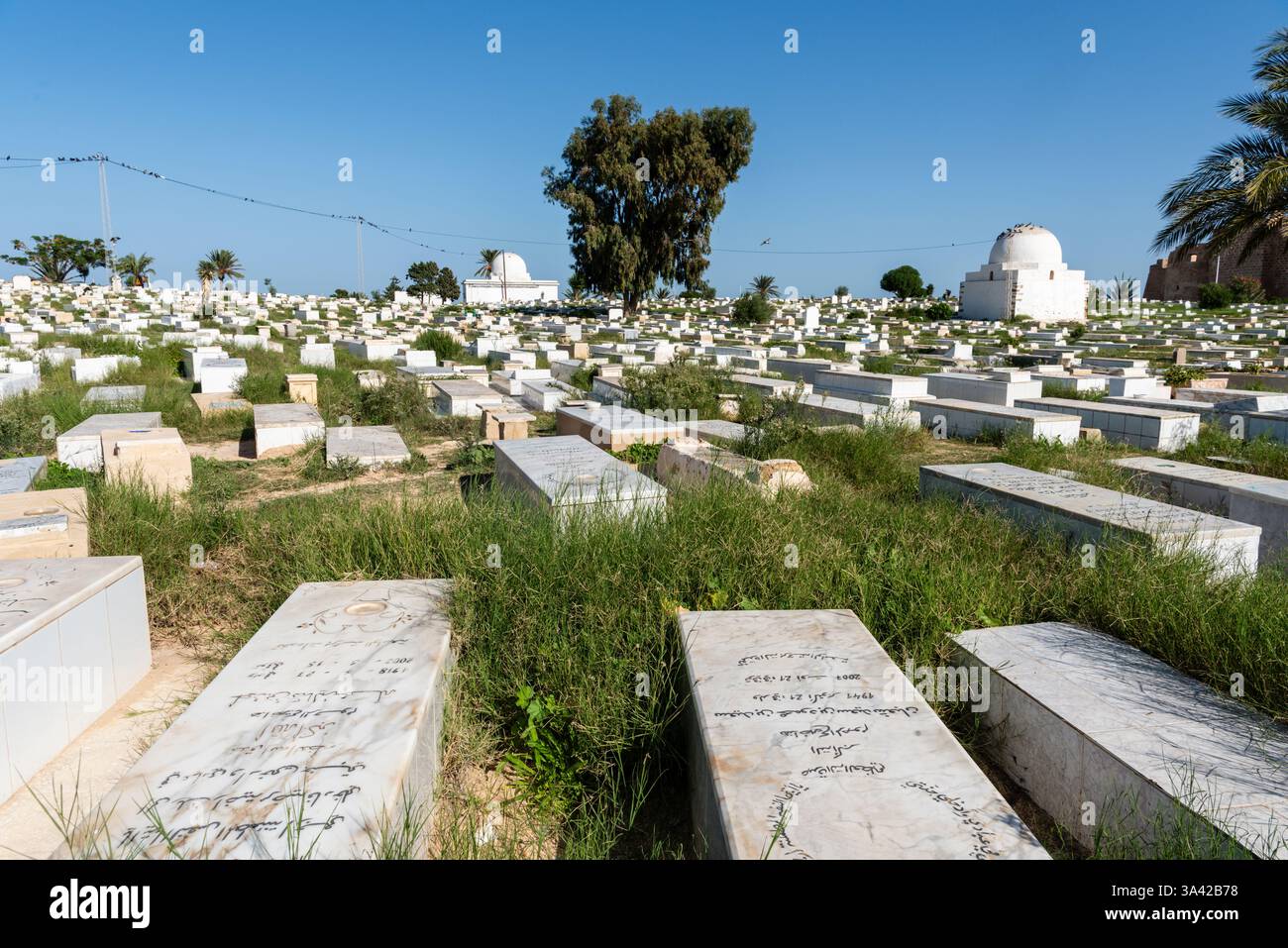 Islamic cemetery, Monastir, Tunisia Stock Photo - Alamy