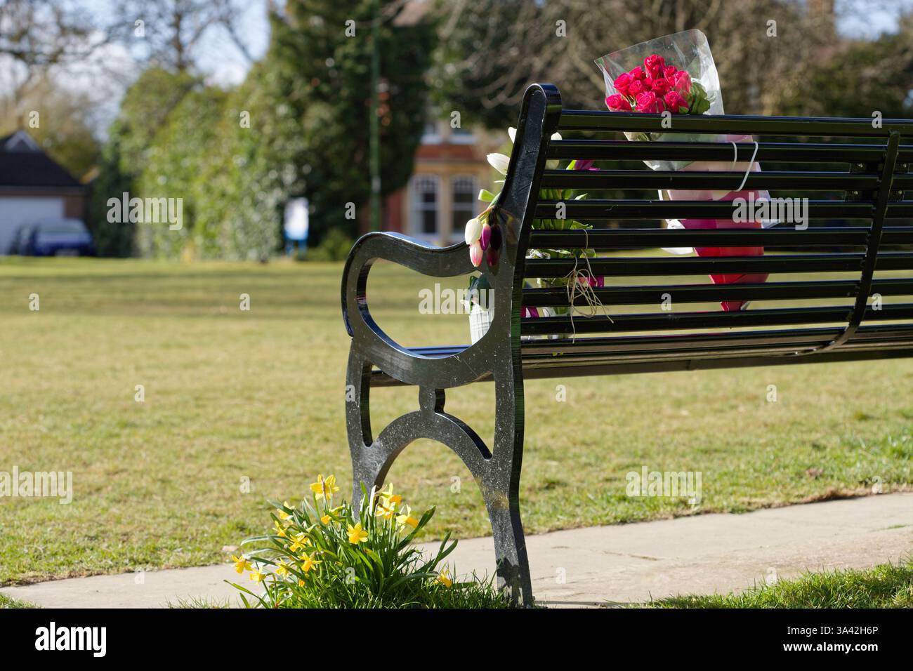 A park bench in a park in the United Kingdom in springtime. Flowers on ...