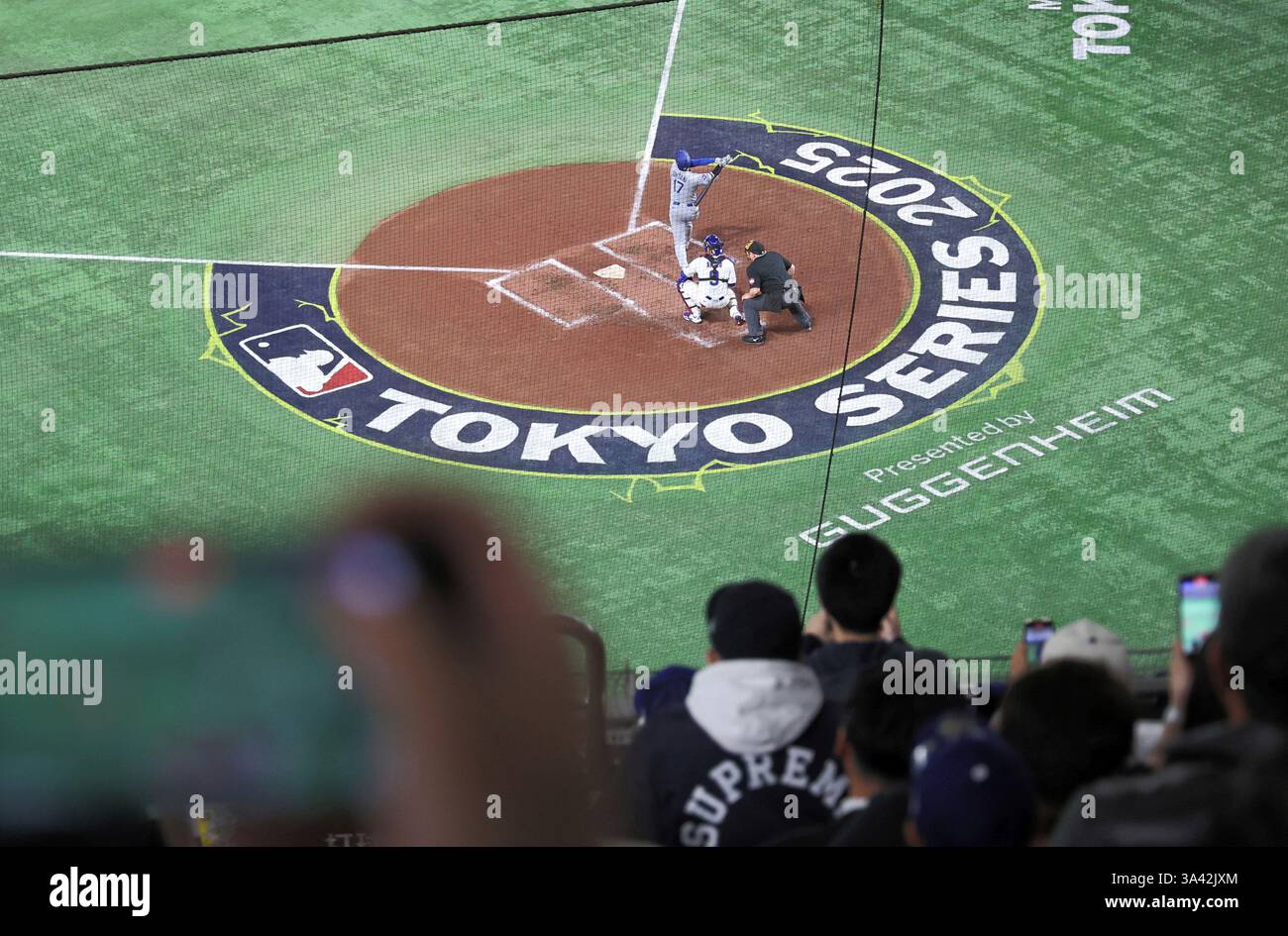 Japanese Shohei Ohtani of Los Angeles Dodgers stands at batter's box ...