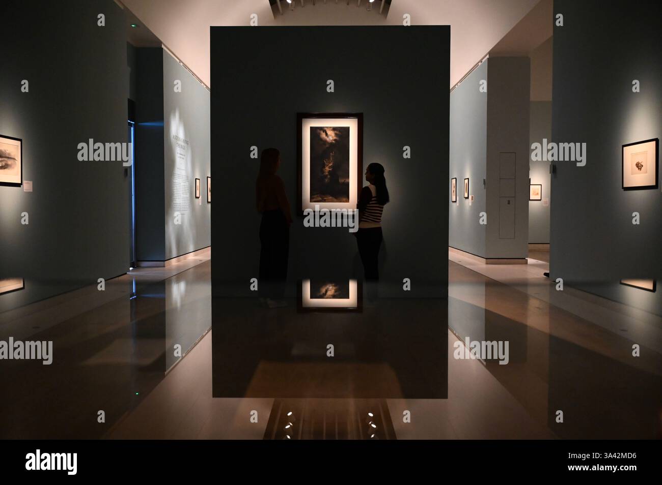 This exhibition follows Hugo’s preoccupation with drawing, from his ...
