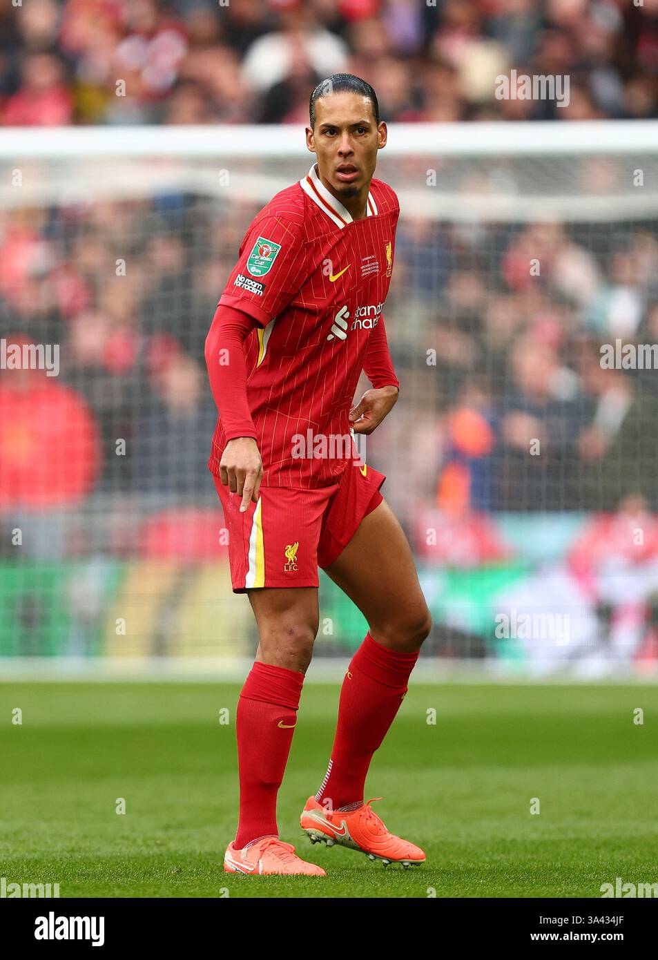 Virgil van Dijk of Liverpool - Liverpool v Newcastle United, Carabao ...