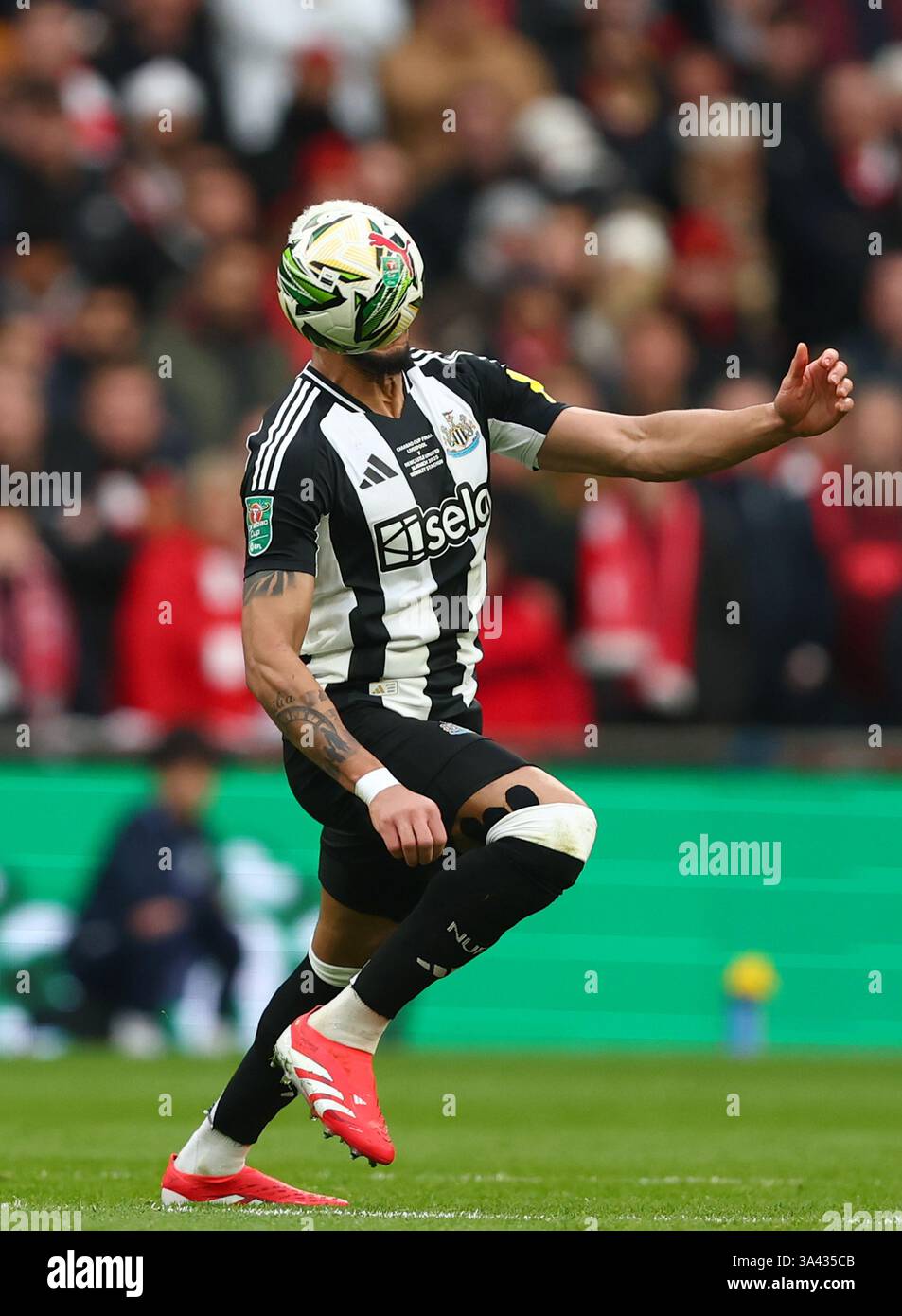 Joelinton of Newcastle United - Liverpool v Newcastle United, Carabao ...