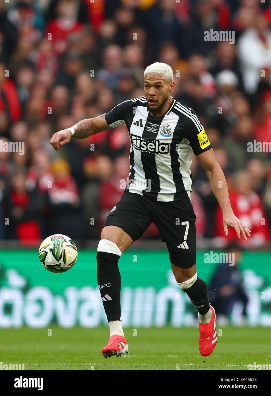 Joelinton of Newcastle United - Liverpool v Newcastle United, Carabao ...
