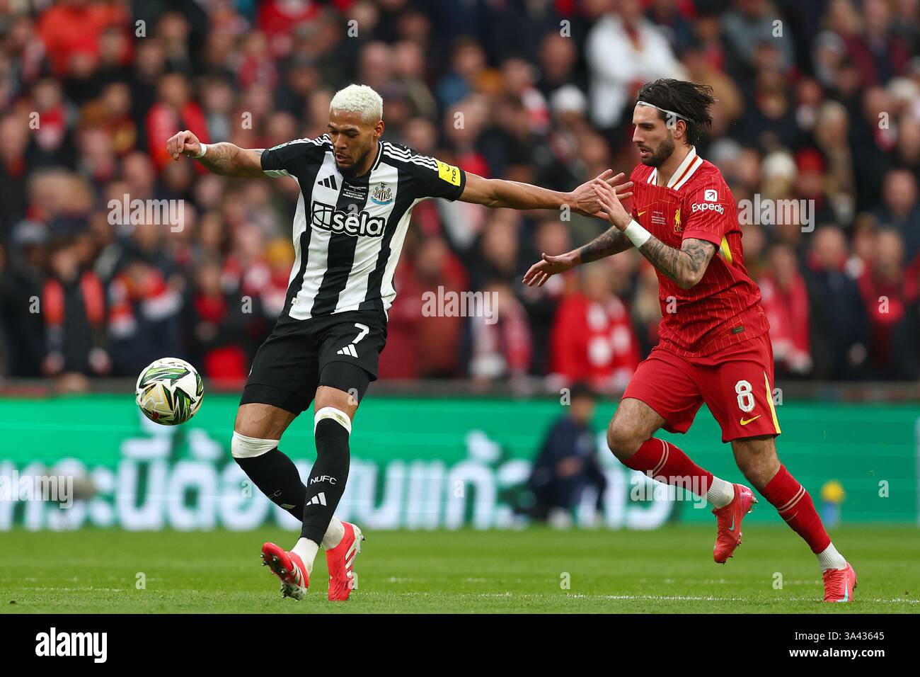 Joelinton of Newcastle United and Dominik Szoboszlai of Liverpool ...