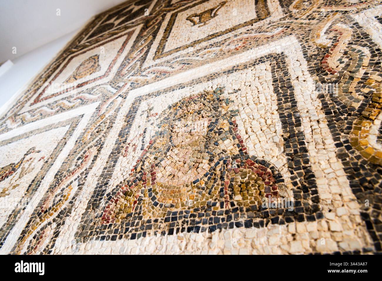 Ancient roman mosaics inside hi-res stock photography and images - Alamy