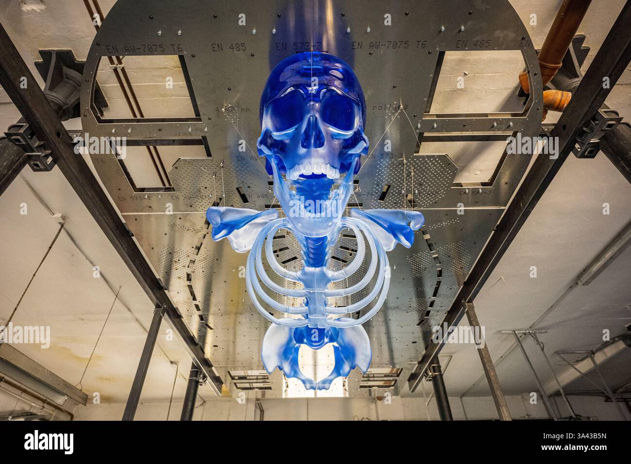 A part of a glass human skeleton made by the glassmakers of the Studio ...