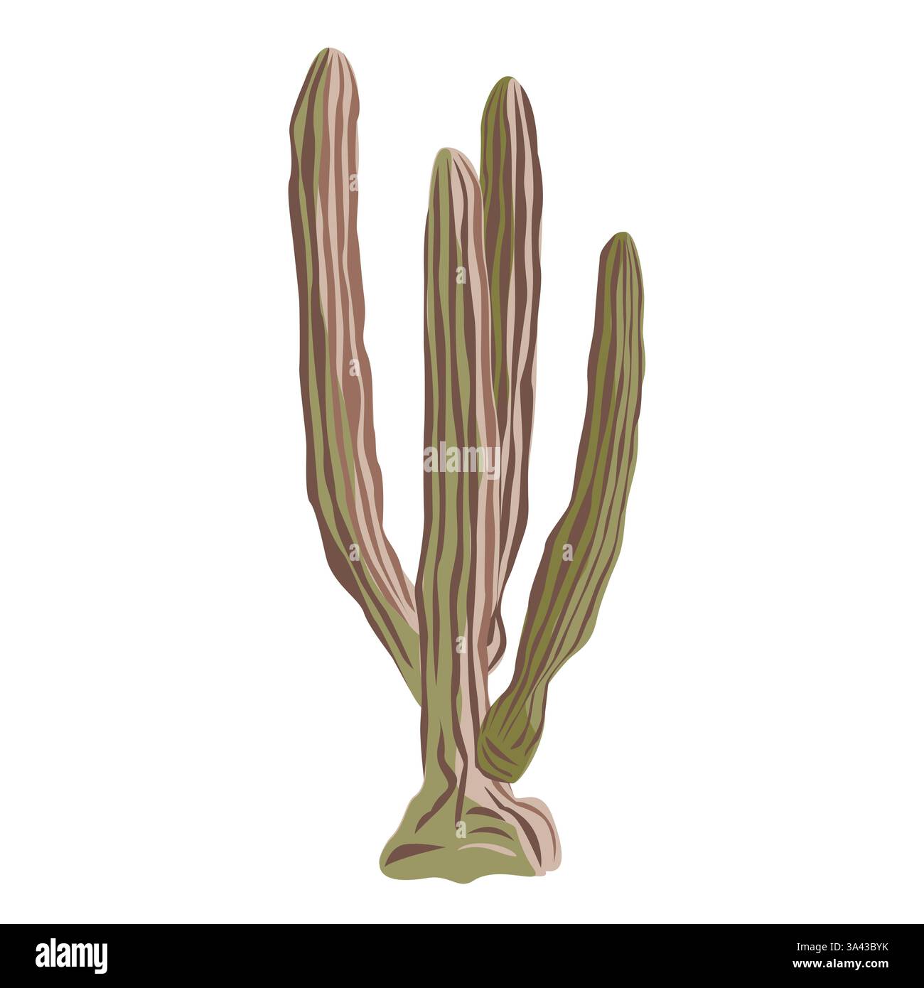 Giant cardon Stock Vector Images - Alamy